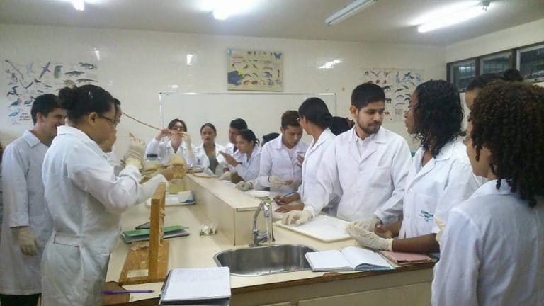 Biología Animal: Qué es, carrera y mucho más sobre ella