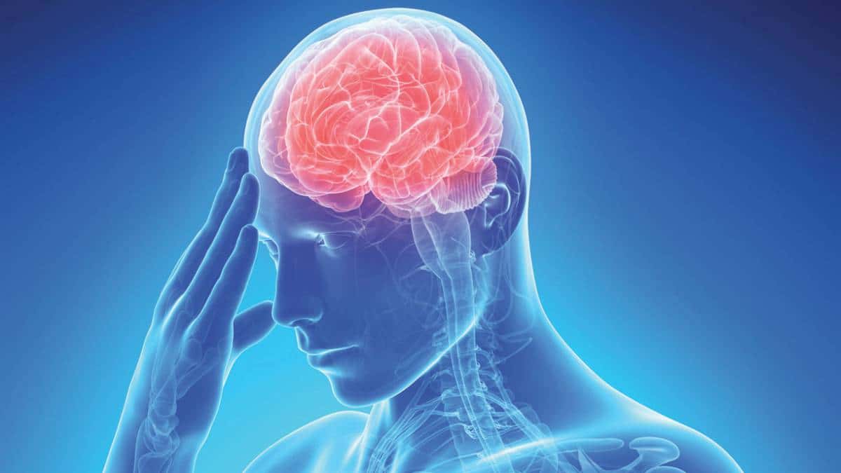 Neurología: Qué es, funciones y mucho más sobre ella 2025