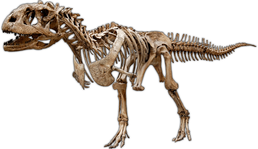 Paleontología: Qué es, carrera, famosos y algo más